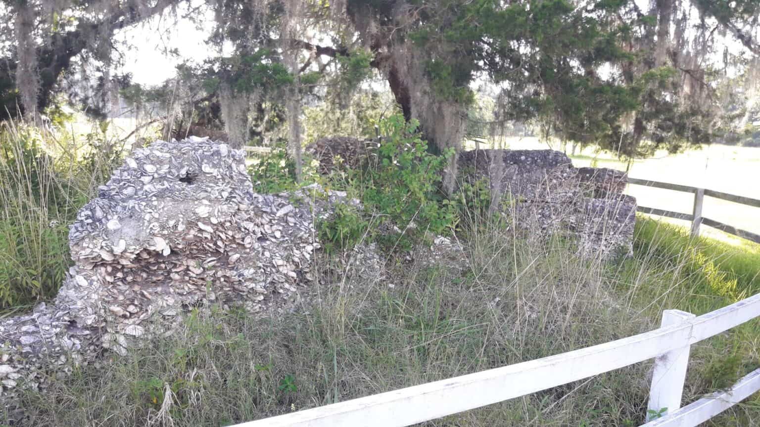 Sapelo Island: Georgia’s Most Fascinating Barrier Island - Molly's Old ...