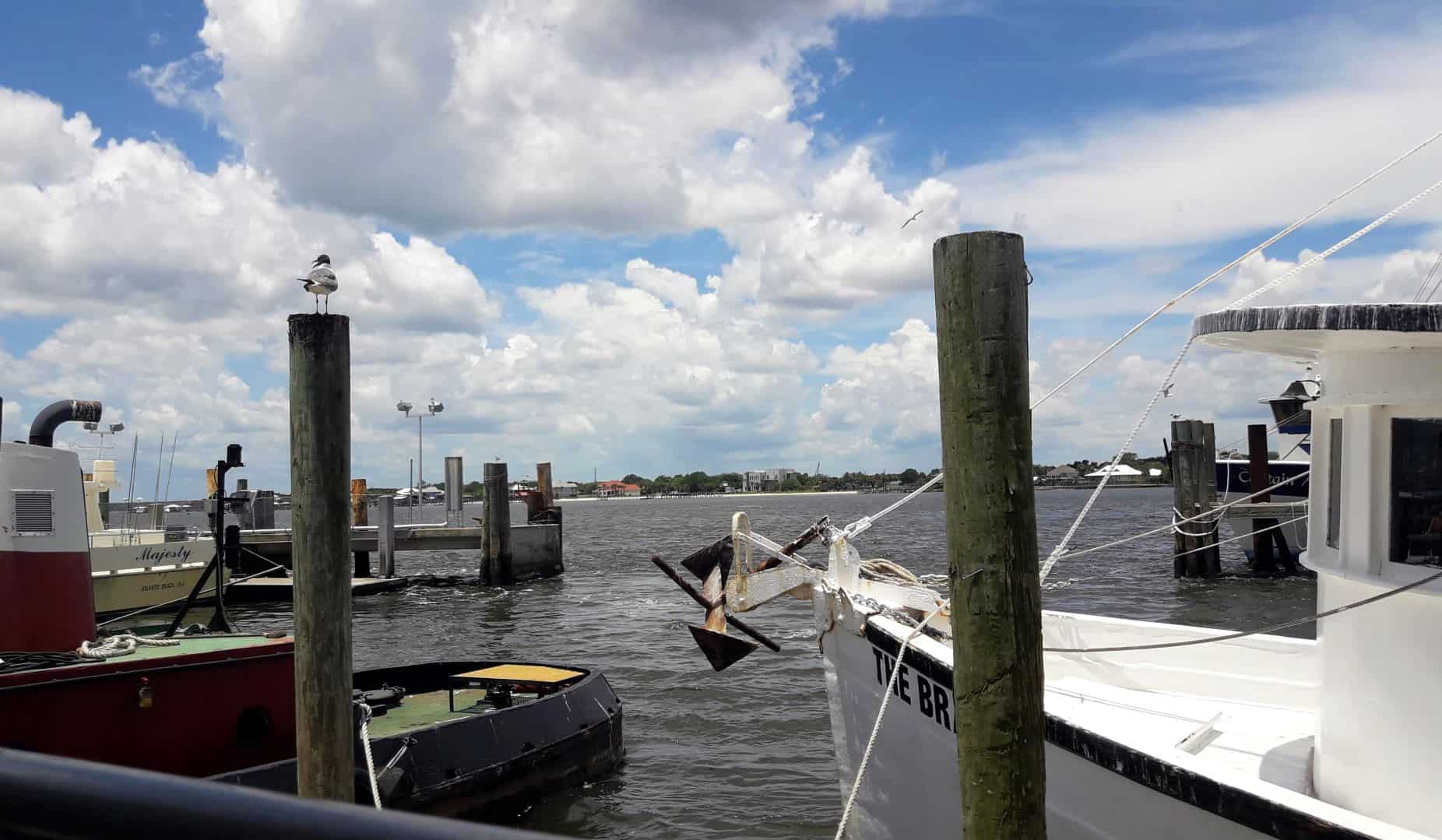 On the Waterfront: Seafood Restaurants in Northeast Florida/Southeast ...