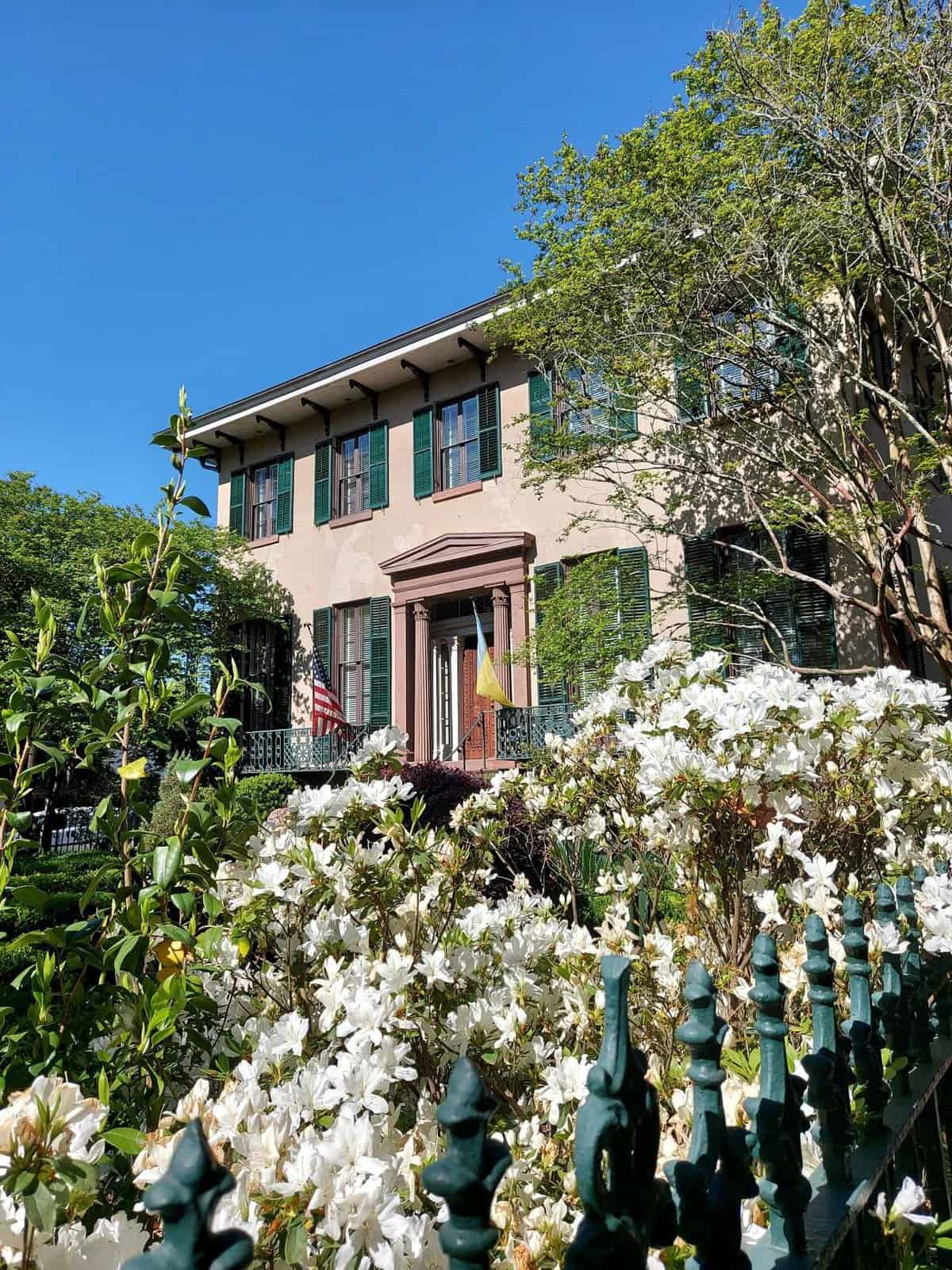 Savannah Private Walking Tour - Molly's Old South Tours