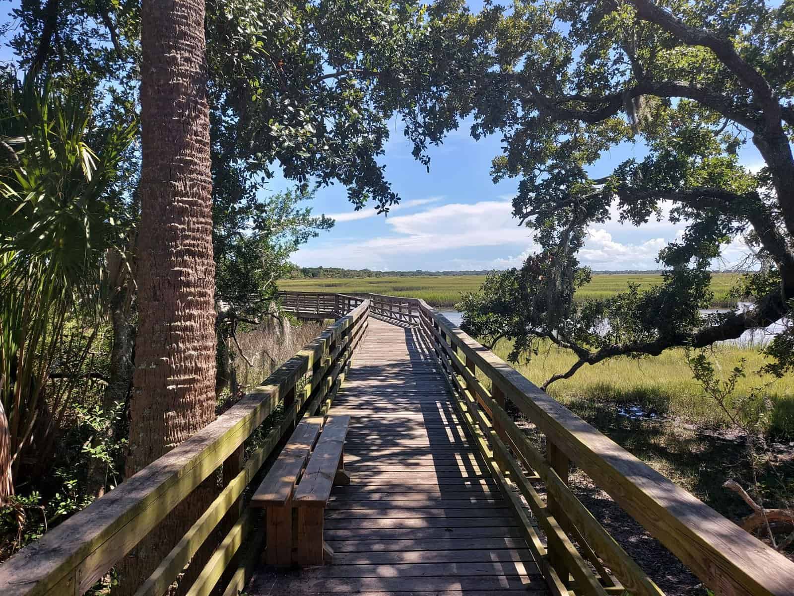Guide to Visiting Cumberland Island: How to Plan Perfect Day