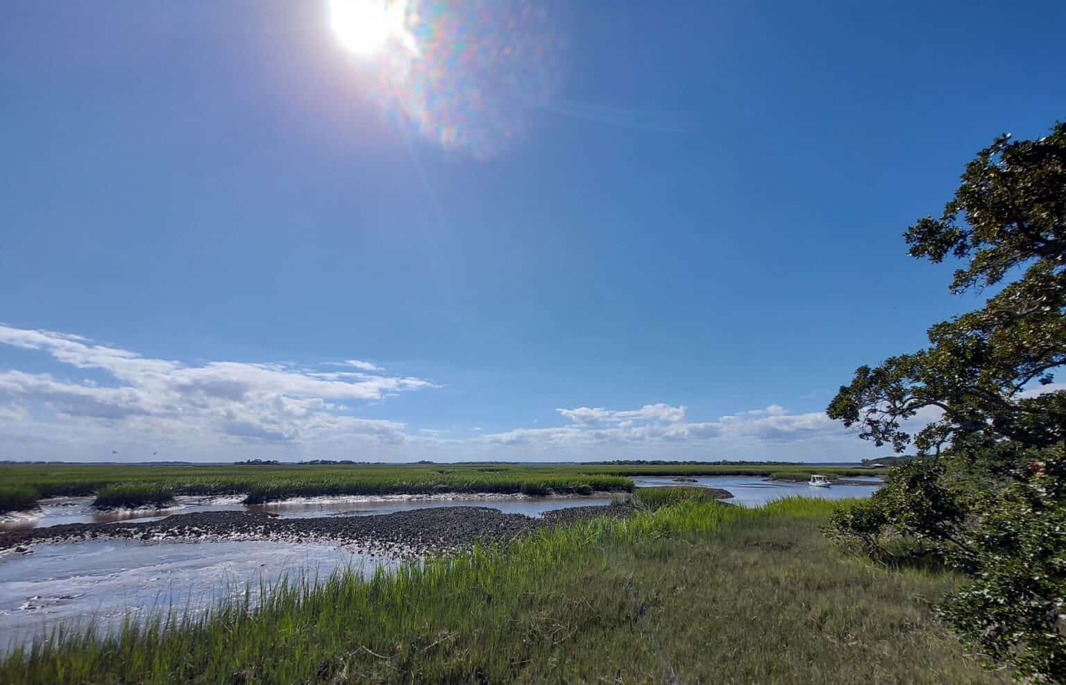 The Salt Marsh and South Georgia’s Fall “Foliage”